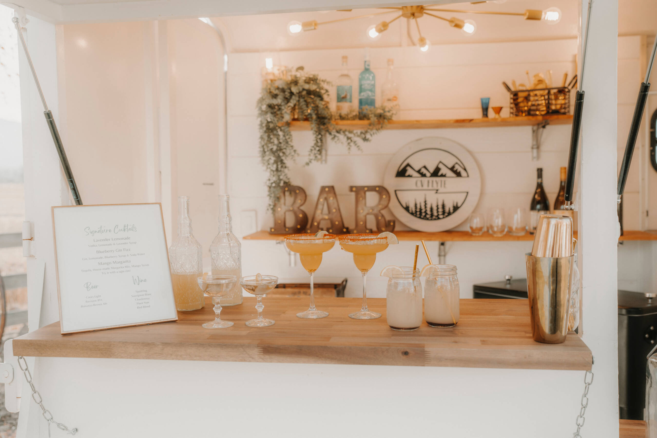 Mobile Bar - CV Flyte